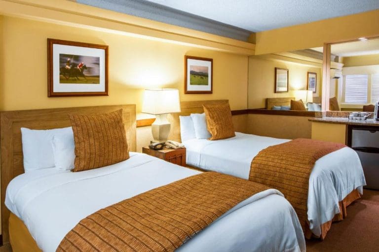 Authentic Hawaiian Boutique Rooms in Waikiki | The Equus
