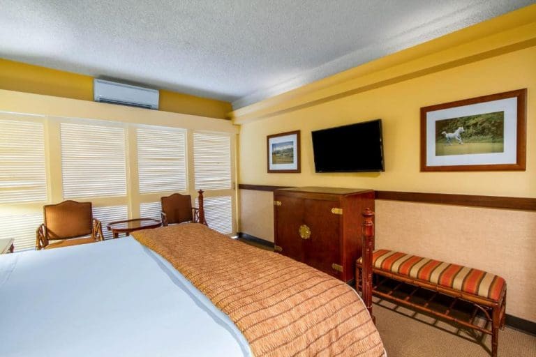 Authentic Hawaiian Boutique Rooms in Waikiki | The Equus